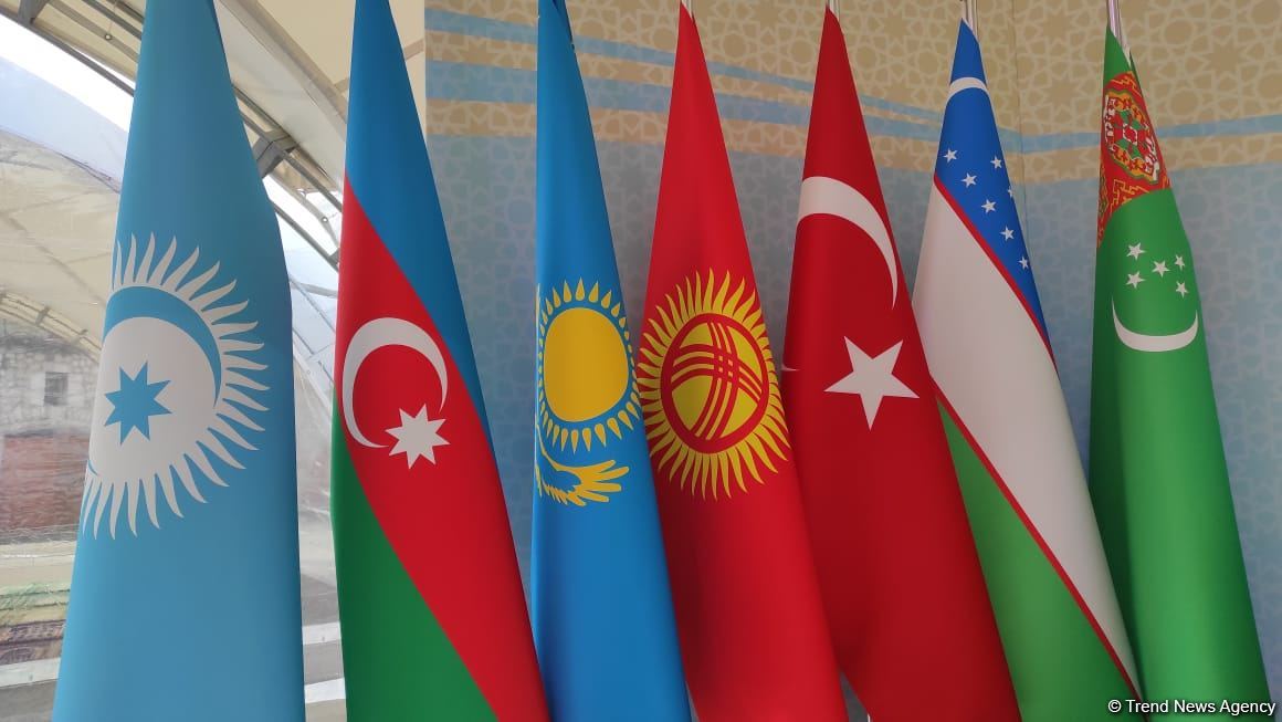 The Organization of Turkic States is an advantageous formation - TuraNews