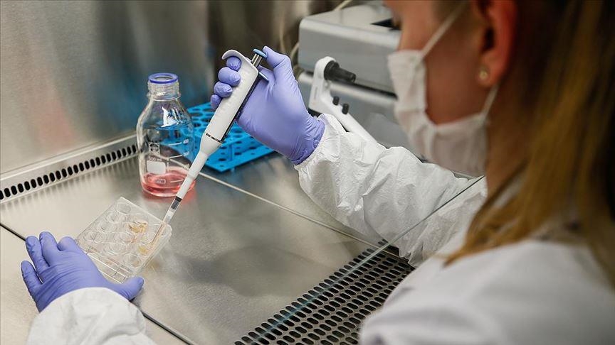 Turkish scientists developed a cell counter - TuraNews