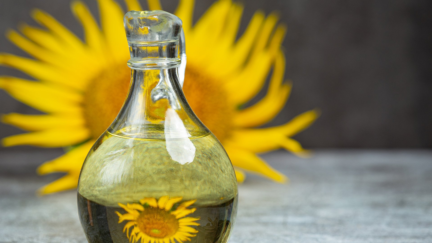 Kazakhstan Produces 889 Thousand Tons Of Vegetable Oil In 2025 - TuraNews